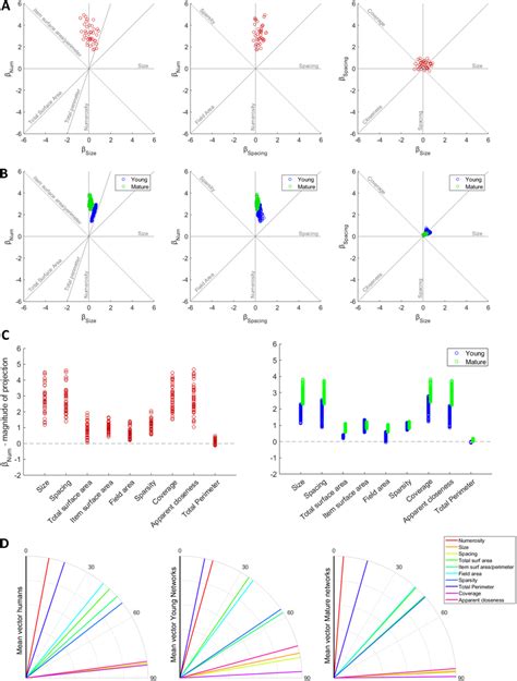 Psychophysics Of Numerosity Comparison In Humans And Deep Networks