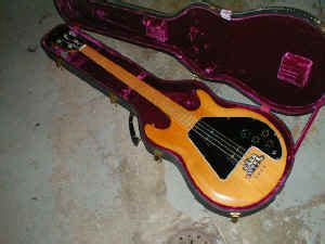 Krist Novoselic Bass