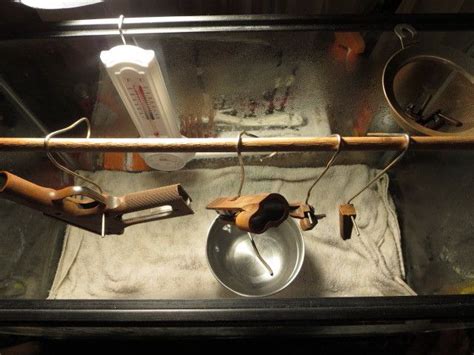 Rust Bluing Pictorial And Commentary Defensive Carry