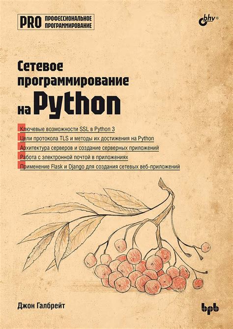 Встречайте Сетевое программирование на Python Издательство БХВ