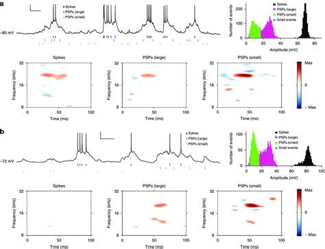 Spectrotemporal Receptive Fields Obtained From In Vivo Current Clamp