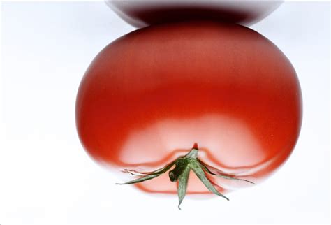 Tomato Object Detection Dataset By Practicas Preprofesionales