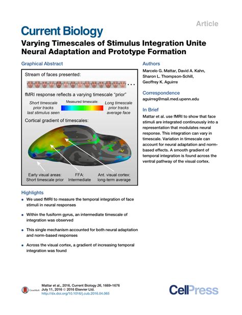Pdf Varying Timescales Of Stimulus Integration Unite Neural Adaptation And Prototype Formation