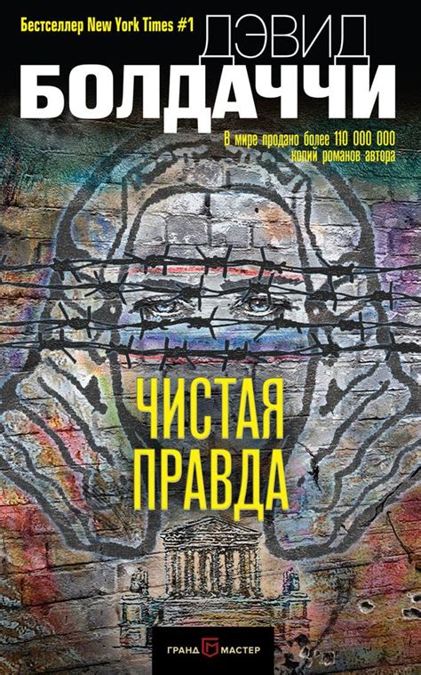 Чистая правда.Автор:Дэвид Болдаччи.Их было два брата-Джон и Майкл.Два ...