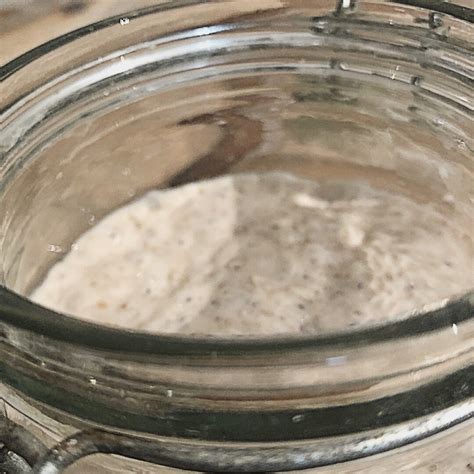 Have I Got A Bad Sourdough Starter Busbys