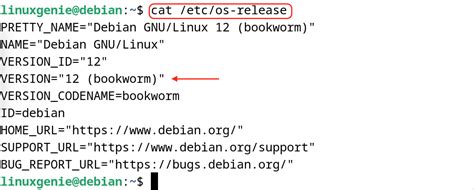 How To Check Os Version On Debian 12 Linux Genie