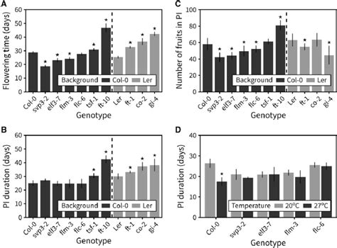 The Photoperiod And Ambient Temperature Flowering Pathways Control Download Scientific Diagram