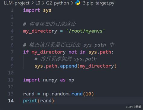 第四期书生大模型 入门岛 2 python基础知识 csdn博客
