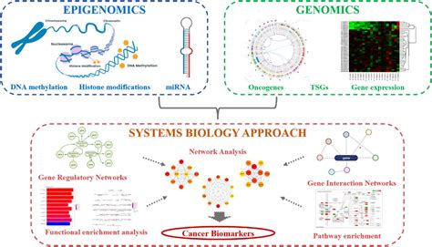 Overview Of Cancer Biomarker Discovery Employing Systems Biology