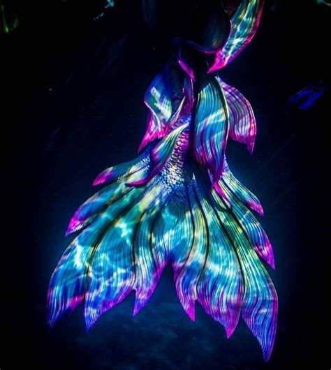 Pin By Sharina Rivera On Sarah 6 Little Mermaid Costumes Dark