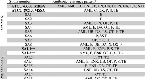 Patterns Of Antibiotic Resistance In The Isolated Staphylococcus Download Table