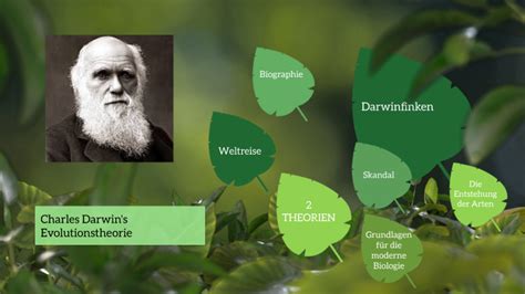 Charles Darwins Evolutionstheorie By Kim Brüggemann On Prezi