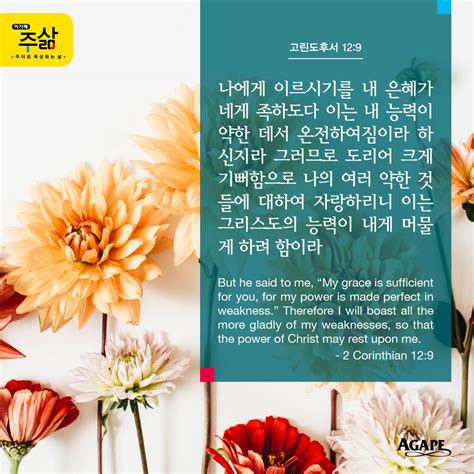 아가페 주삶 말씀묵상 약한 것을 자랑하는 겸손한 사도 고린도후서 127 13
