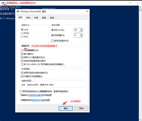 控制台窗口和powershell运行服务会卡住的解决办法 jane doe