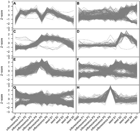 Normalized Expression Values Of Modules Of Genes Identified From A