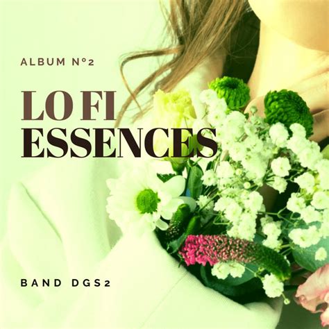Lofi Essences Nº 2 - Album by Band DGS2 | Spotify