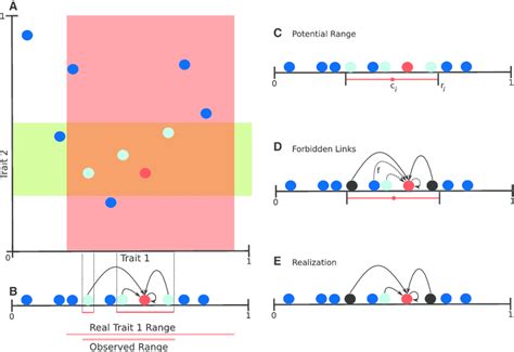 Multidimensional Niches And The Minimum Potential Niche Model A A Download Scientific
