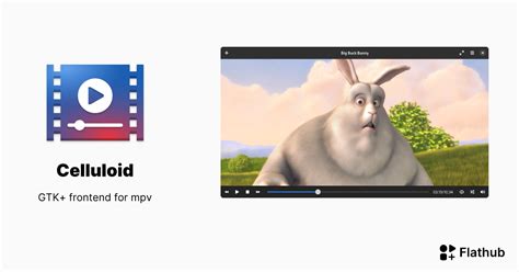 install celluloid on linux flathub