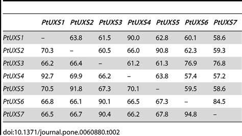 Coding Region Nucleotide Upper Portion Of Matrix And Amino Acid