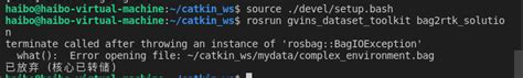 Error Opening Bag File Issue HKUST Aerial Robotics GVINS Dataset GitHub