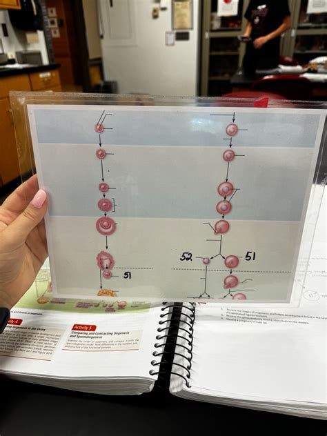 Model Diagram Quizlet