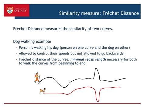 Ppt Computational Movement Analysis Lecture 1 Similarity Joachim