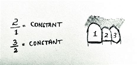 Recurring Aesthetic Dental Proportions Download Scientific Diagram