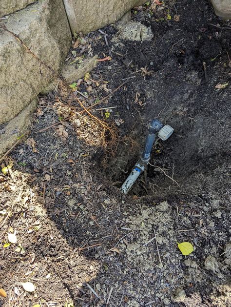 Root Blocker For Cape Honeysuckle Dining And Cooking