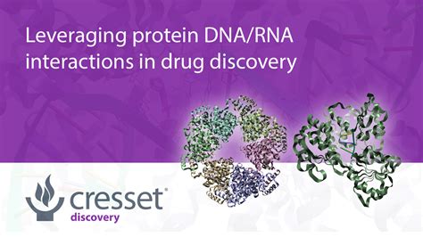 Dna Rna Interaction At Benjamin Ferguson Blog