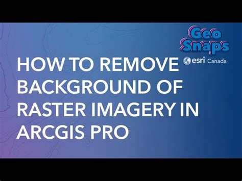 How To Remove Background Of Raster Imagery In ArcGIS Pro