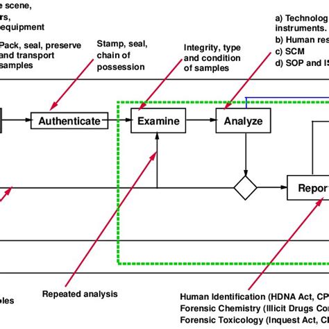 Process Flow Chart For Forensic Science Services In Tanzania And The Download Scientific