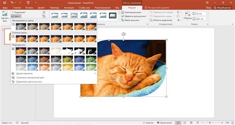 Что такое бизнес презентации Все про коммерческие презентации в Powerpoint Biecom