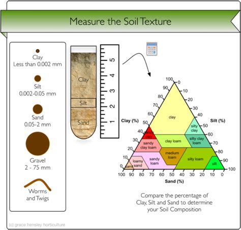 Soil Texture Infographic Fashion Plants