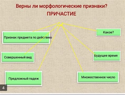 верны ли морфологические признаки Школьные Знания Com