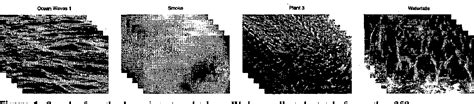 figure 1 from dynamic texture recognition semantic scholar
