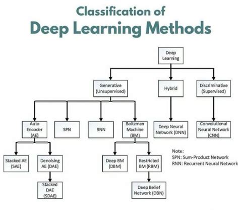 Shanza Khan On Linkedin Deeplearning Machinelearning