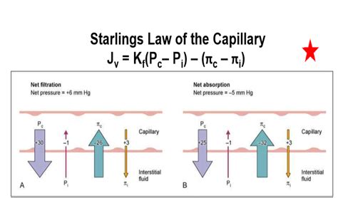 Exams And Me Starling Forces