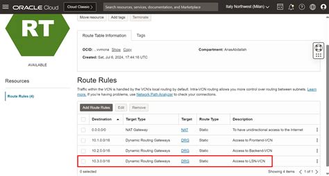 use oracle cloud infrastructure dns to resolve native domains