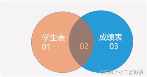 什么是sql以及内连接与左连接的区别左连接和内连接的区别 Csdn博客
