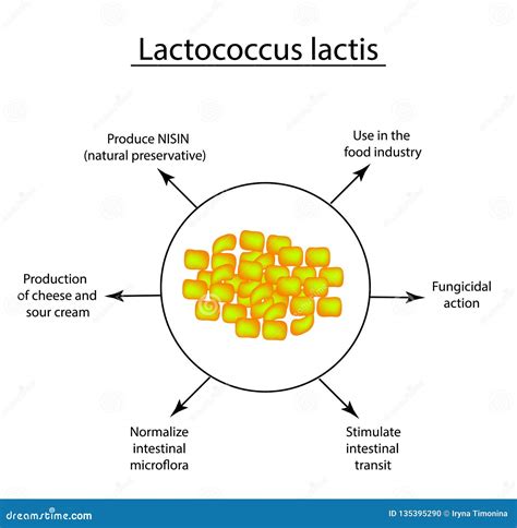 Lactis Cartoons Illustrations And Vector Stock Images 99 Pictures To Download From