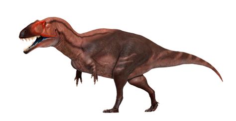 5 Dinosaurs That Lived In Arkansas And Where To See Fossils Today