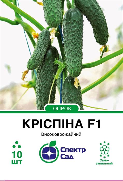 Купити професійне насіння огірків Кріспіна по кращій ціні в Україні