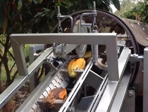Fresh Cocoa Pod Breakingcrushingdecorticator Machine View Cocoa Pod