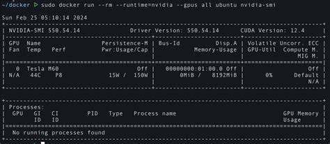 Nvidia Tesla M60 Not Selectable For Hardware Transcoding In Docker