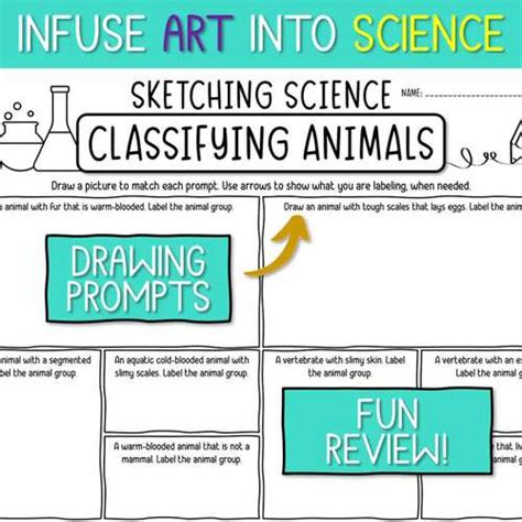 Classifying Animals Review Art Drawing Activity Tpt Classifying Animals Review Art Drawing Activity Tpt