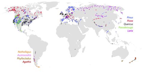 Tree Ring Width Chronologies An Overview Of Their Use As Climate Proxies And Of Available
