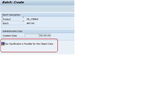 Batch Creation Not Possible In Ewm Sap Community