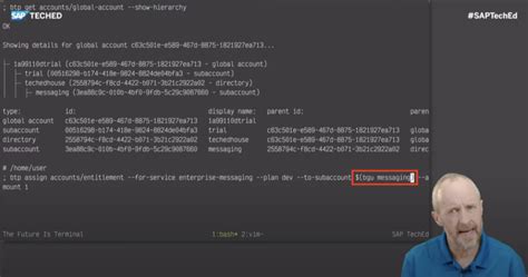 Getting Btp Resource Guids With The Btp Cli Part 1 Dj Adams