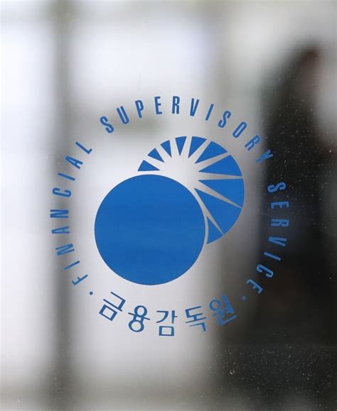 금감원 규정 위반 자산운용사 무더기 적발