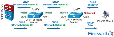 Dhcp Option 82 Message Format Analysis Dhcp Snooping Option 82 Injection And Removal Method